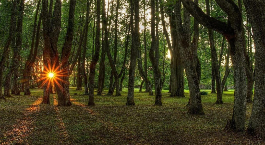 Nõo region is awaiting explorers - Visit Tartu